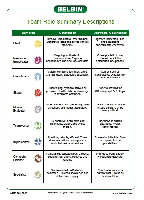 BELBIN Theory of TEAM – SourcingSpider